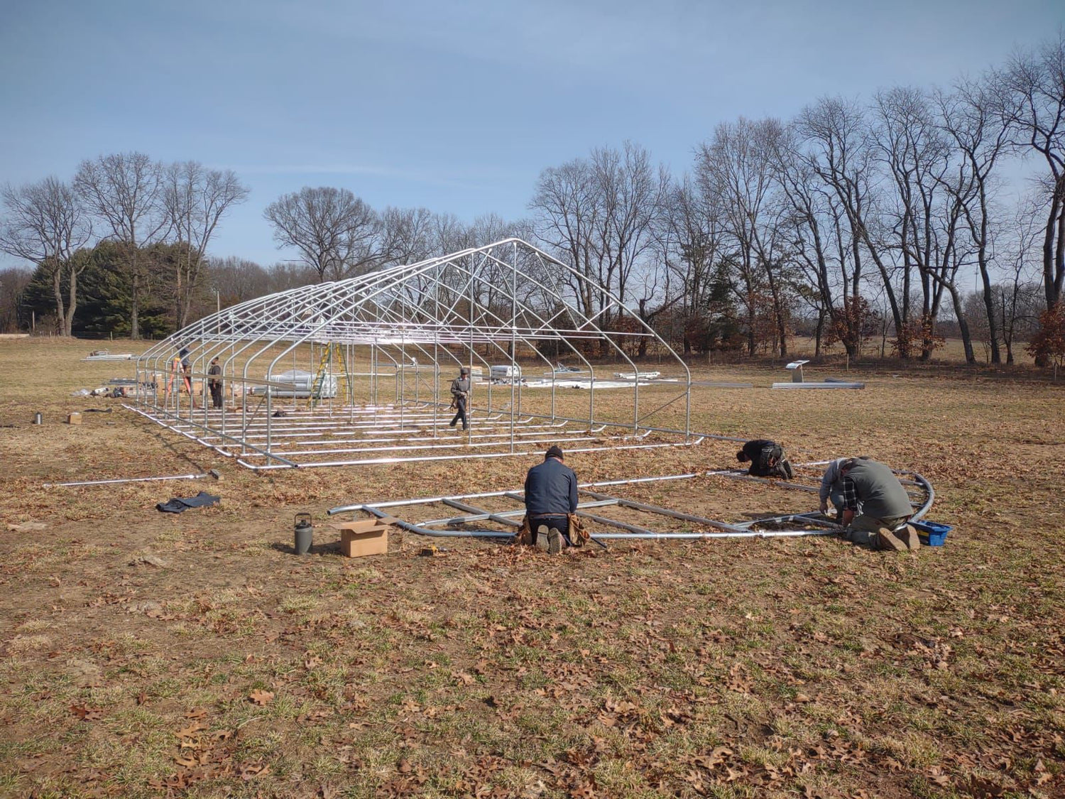 Notes from the Farm – Joe's Farm